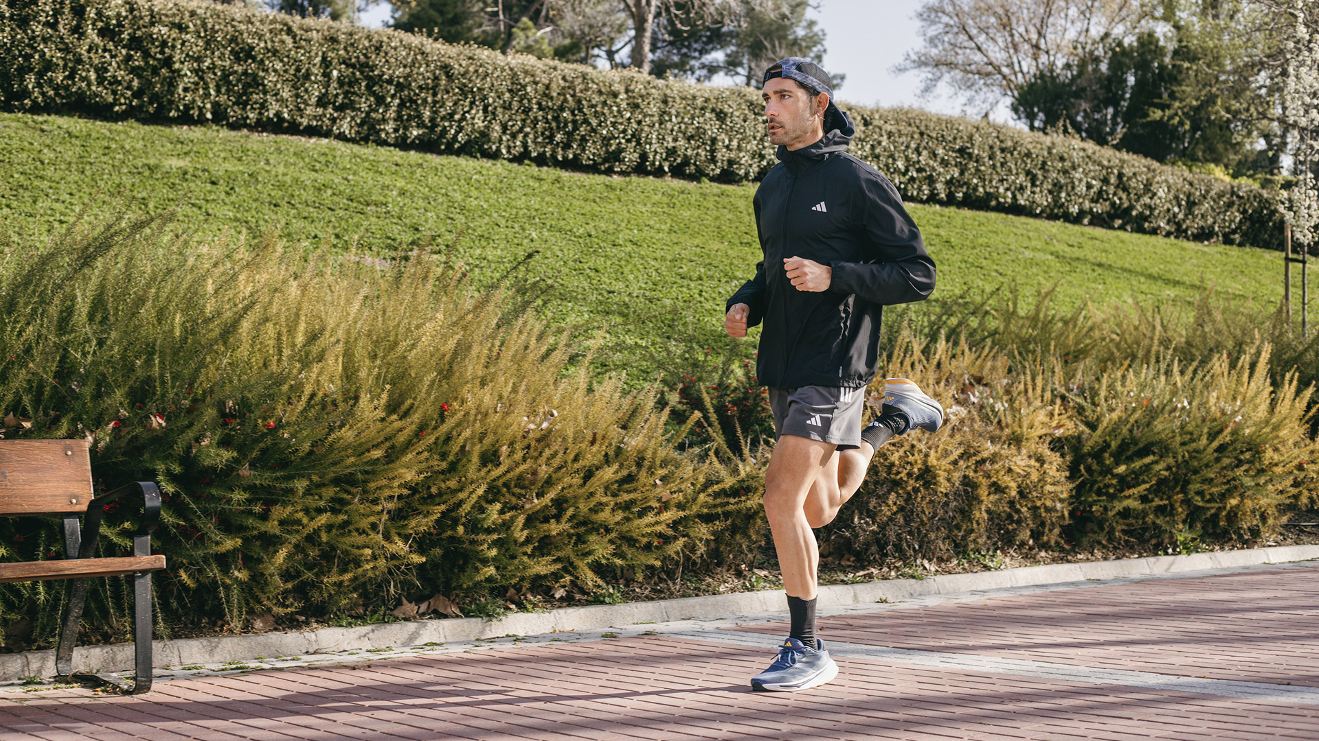 Mapoma - ZEL21 AGENCY